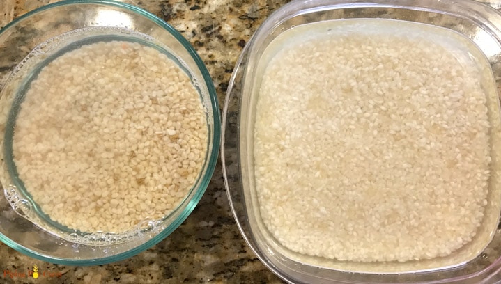 Idli Batter - Instant Pot - Piping Pot Curry